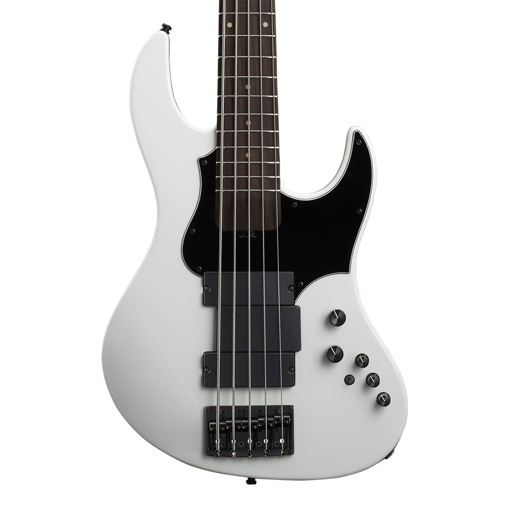EDWARDS Platinum Edition E-AMAZE-5-190 SW (Snow White) [IKUO Signature ...